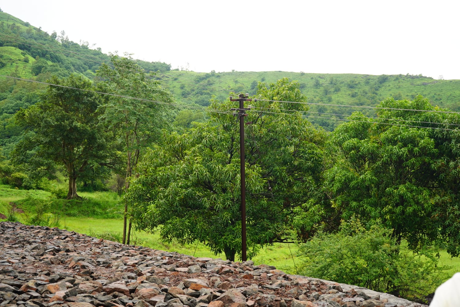 Resale 11000 Sq.Ft. Plot in Velhe Pune - 7972078