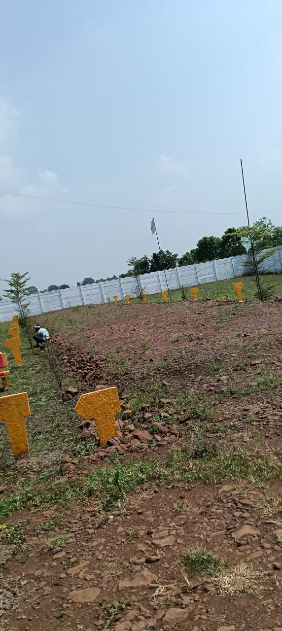 Resale 2000 Sq.Ft. Plot in Barela Jabalpur - 8013397