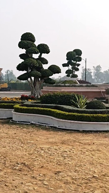 Plots in Lalbagh Lucknow - 1+ Plots for Sale in Lalbagh Lucknow