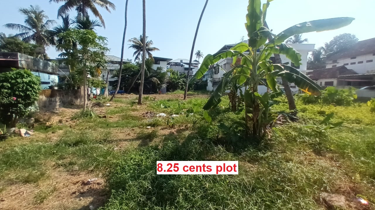 Resale 3592 Sq.Ft. Plot in Pachalam Kochi - 8180826