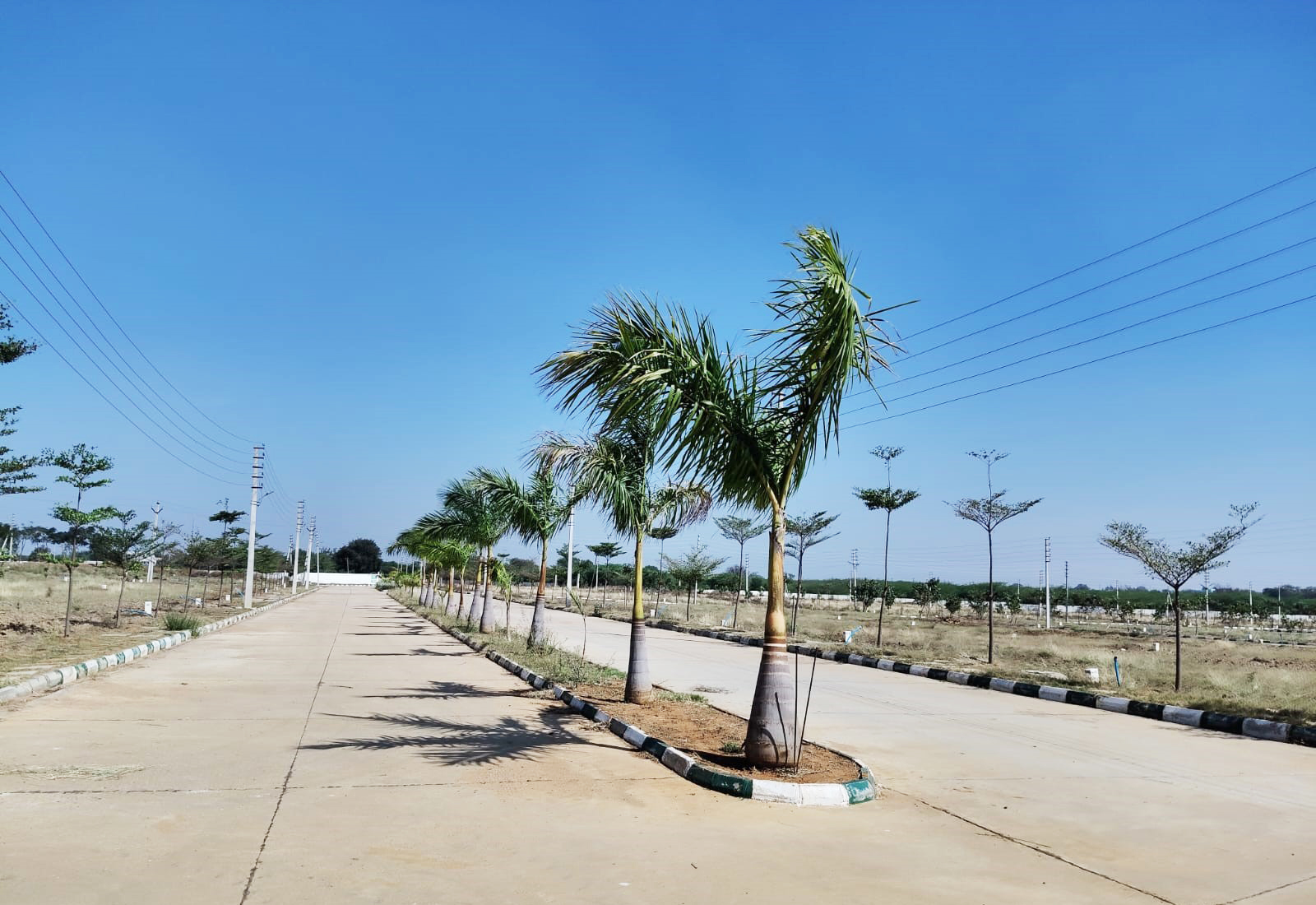 Resale 200 Sq.Yd. Plot in BBG Vian Valley, Shabad Hyderabad - 8341556