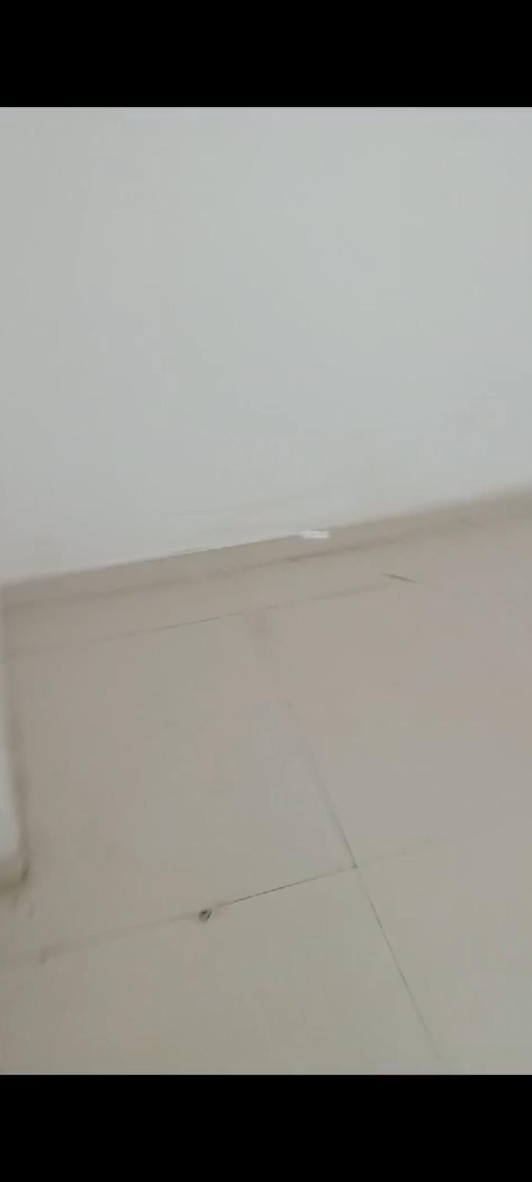 Rental 1 Bedroom 447 Sq.Ft. Apartment in Puranik City, Kasarvadavali ...