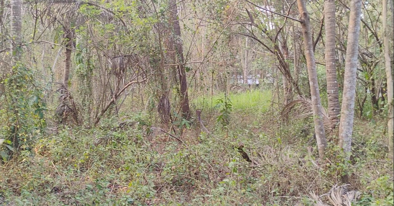 Resale 4355 Sq.Ft. Plot in Varavoor Thrissur - 8446521