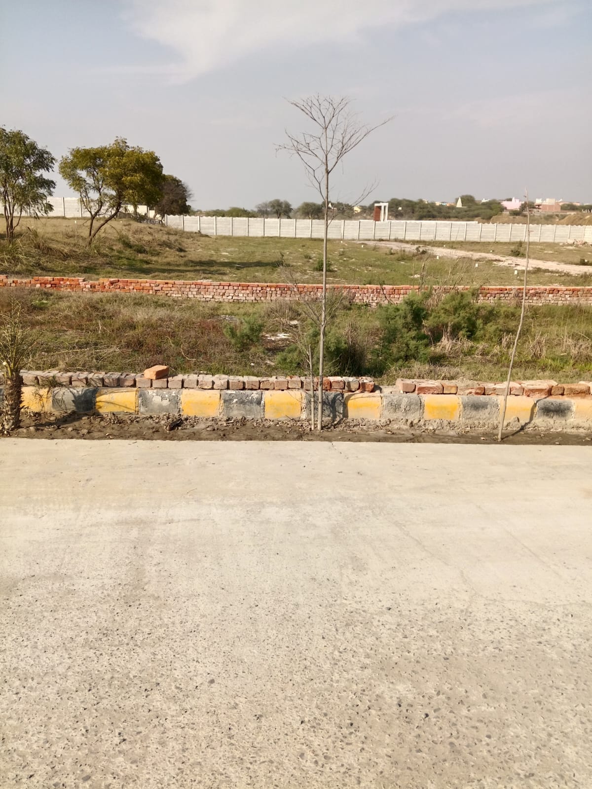 Resale 100 Sq.Yd. Plot in Upsidc Site B Greater Noida - 8459194