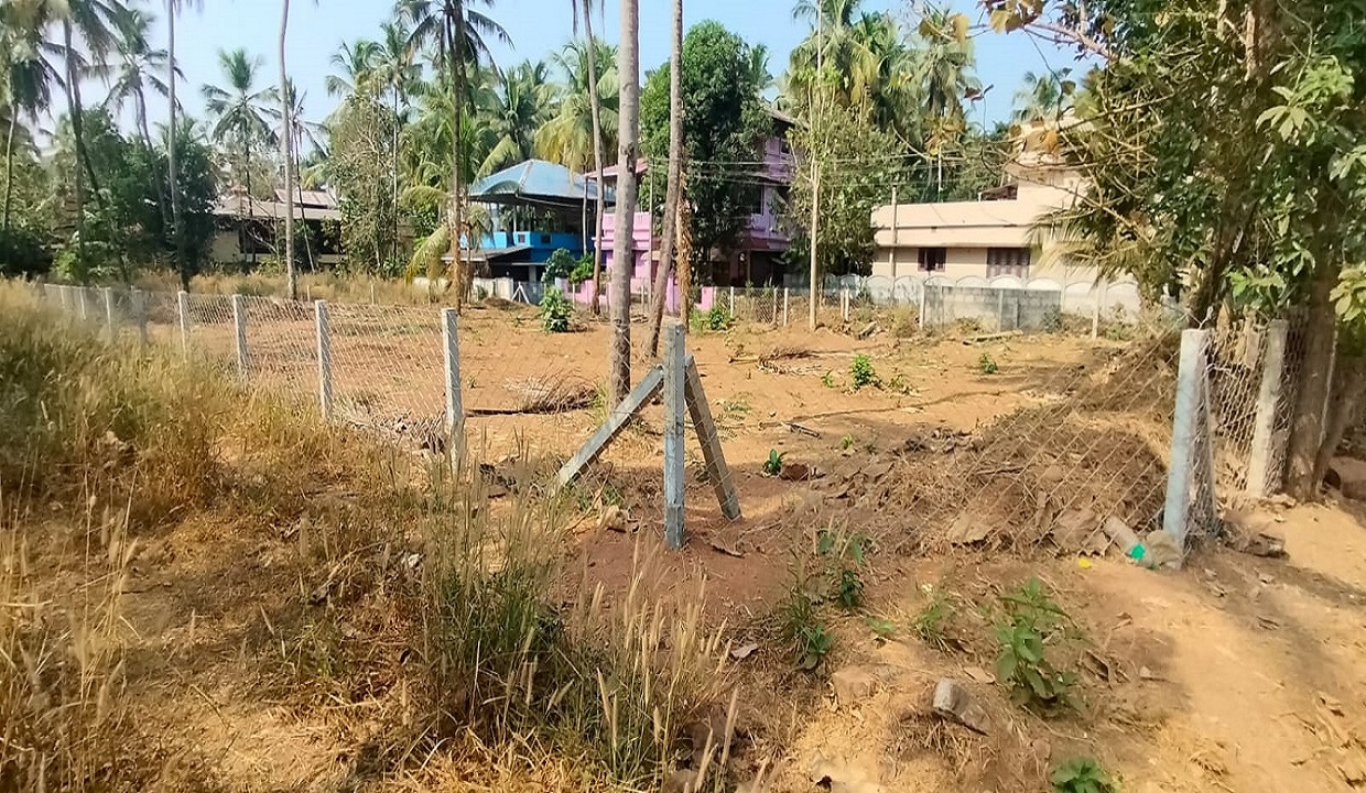 Resale Commercial Land 6534 Sq.Ft. in Kuttoor Thrissur - 8516865