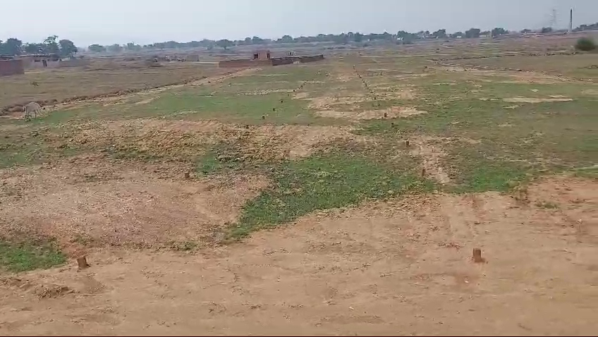 Resale 2178 Sq.Ft. Plot in Angara Ranchi - 8523268