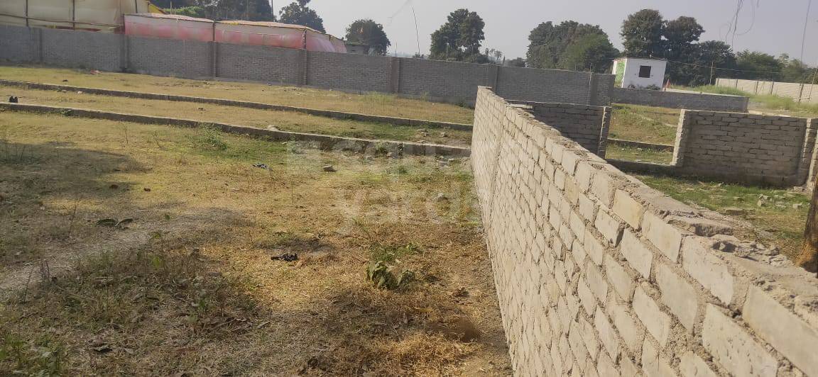 Resale 1380 Sq.Ft. Plot in Khagaul Road Patna - 8548141