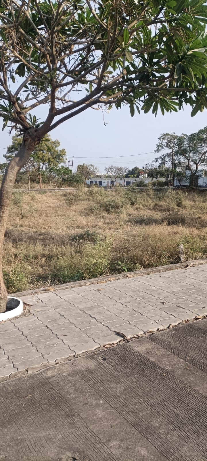 Resale 833 Sq.Ft. Plot in Super Corridor Indore - 8553270