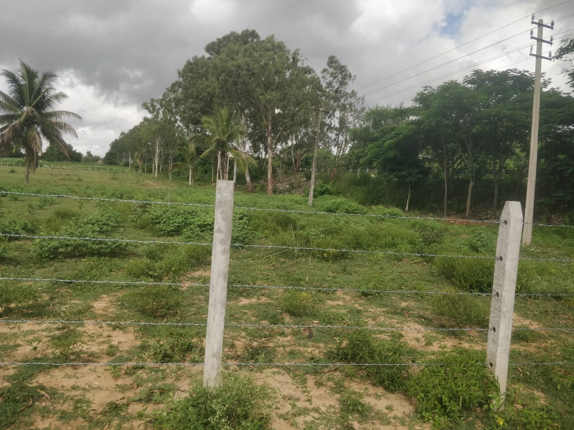 Resale 2800 Sq.Ft. Plot in Vidyaranyapura Bangalore - 8579325