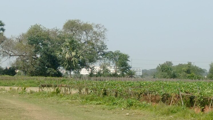 Resale 2900 Sq.Ft. Plot in Sonarpur Kolkata - 8646379 Resale 2900 Sq.Ft. Plot in Sonarpur Kolkata - 8646379