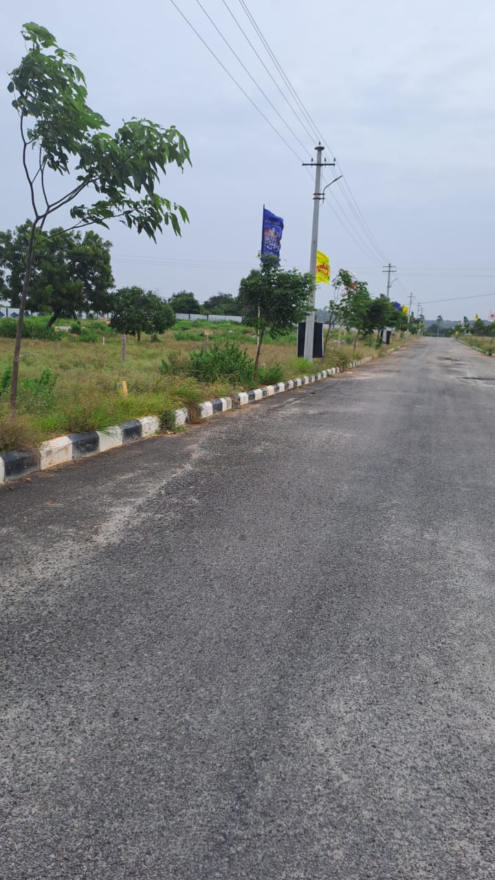 Resale 1665 Sq.Ft. Plot in Dabha Nagpur - 8659725