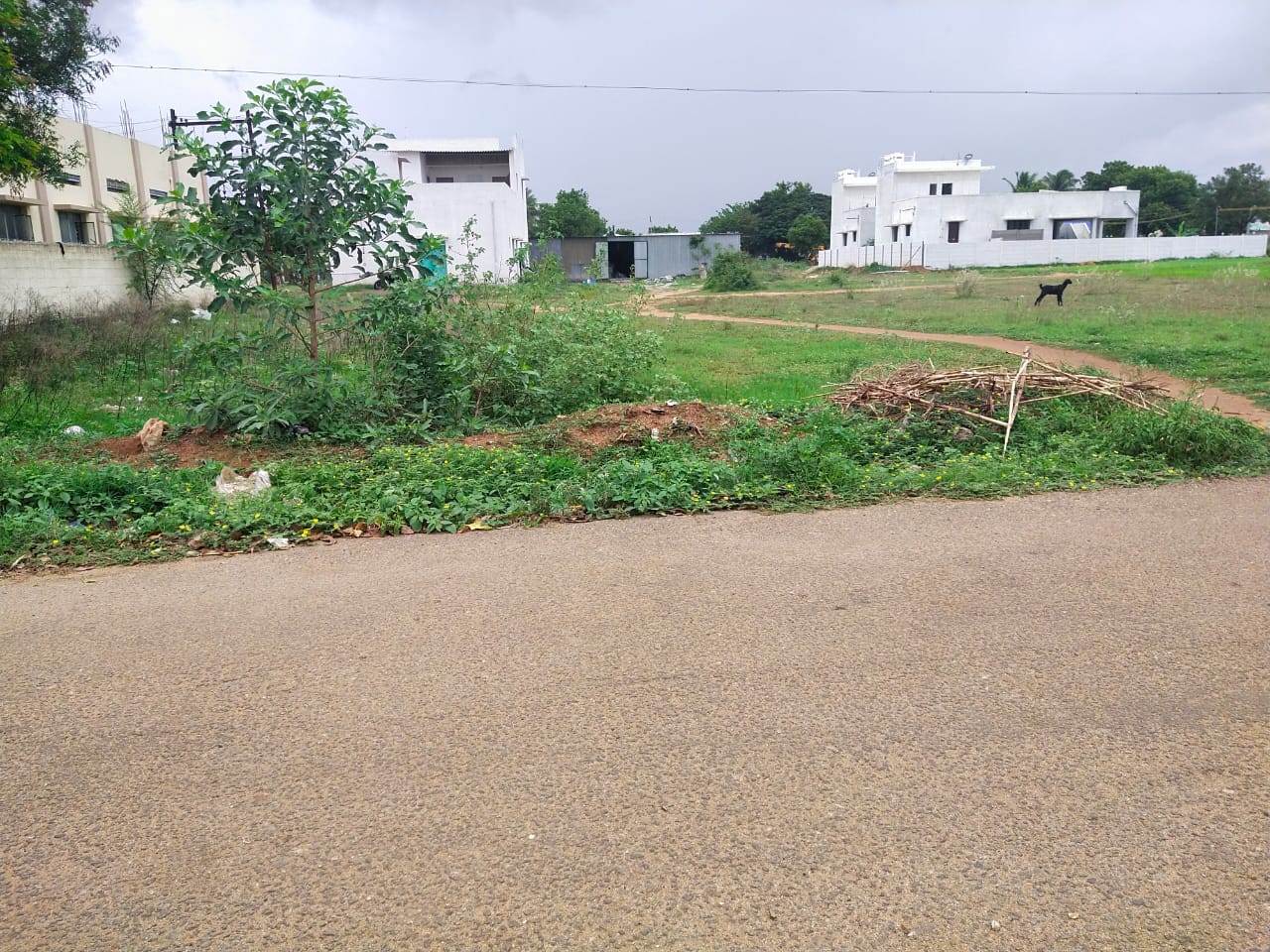 Resale 10000 Sq.Ft. Plot in Chinniampalayam Coimbatore - 8745229