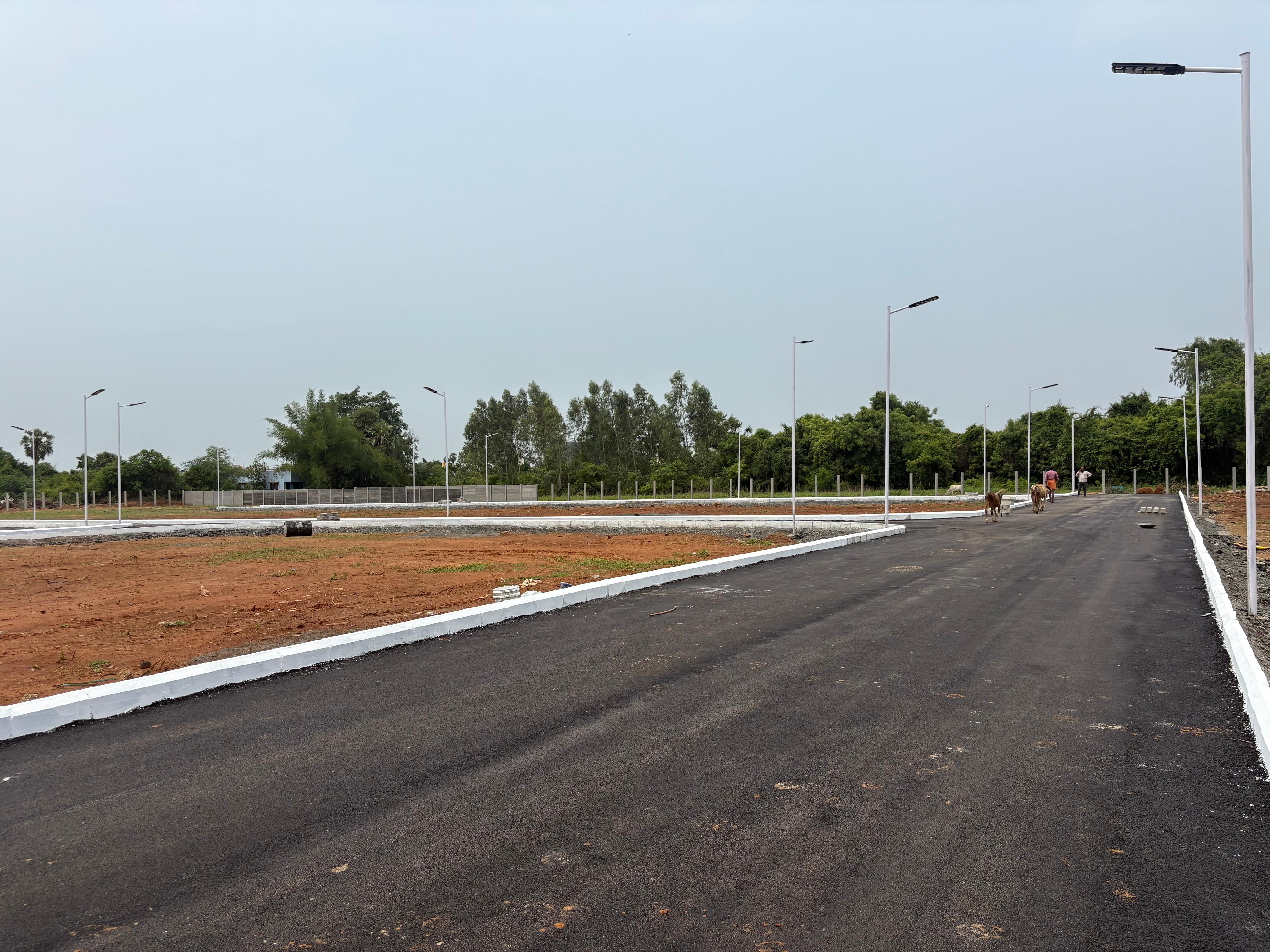 Resale 1100 Sq.Ft. Plot in Potheri Chennai - 8824958