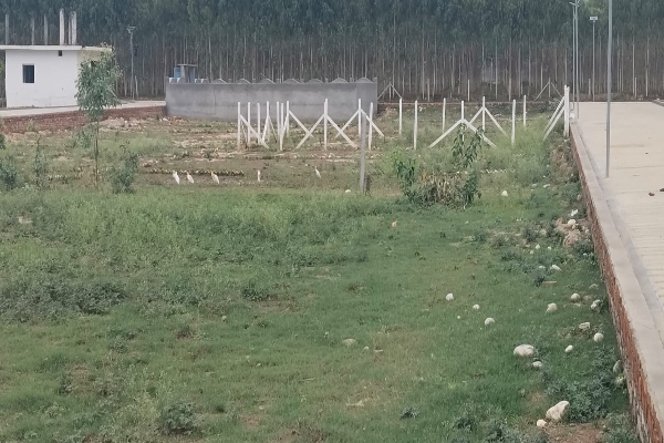 Resale 77 Sq.Yd. Plot in Azad Nagar Hisar - 8864894