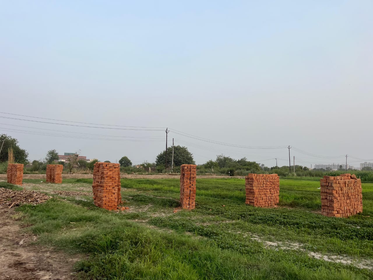 Resale 111 Sq.Yd. Plot in Arya Nagar Hisar - 8872218
