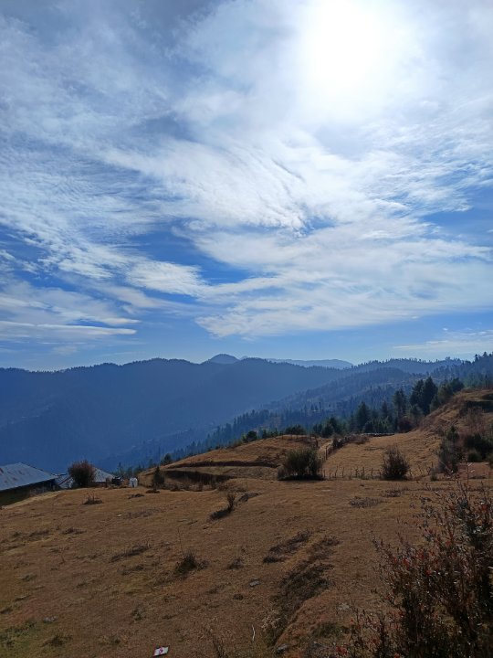 Resale 8712 Sq.Ft. Plot in Himachal Pradesh Secretariat Shimla - 8881163