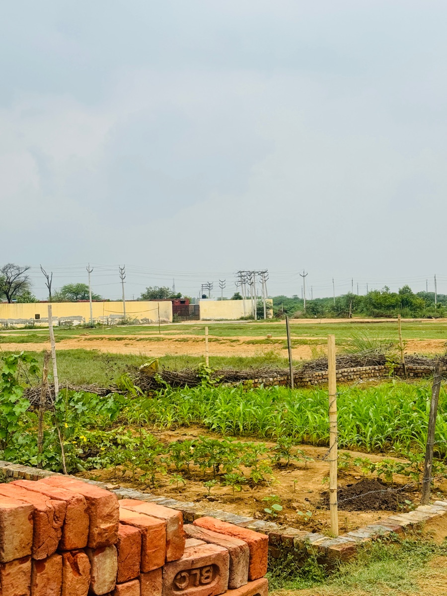 Resale 126 Sq.Yd. Plot in Silani Chowk Gurgaon - 8944780
