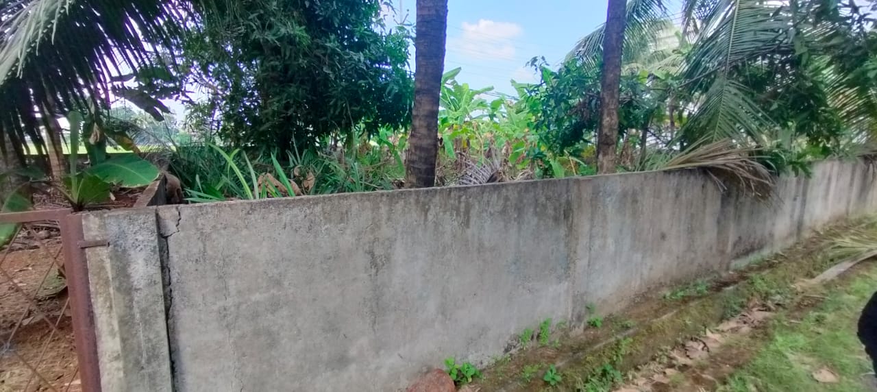 Resale 3051 Sq.Ft. Plot in Viyyur Thrissur - 8962636