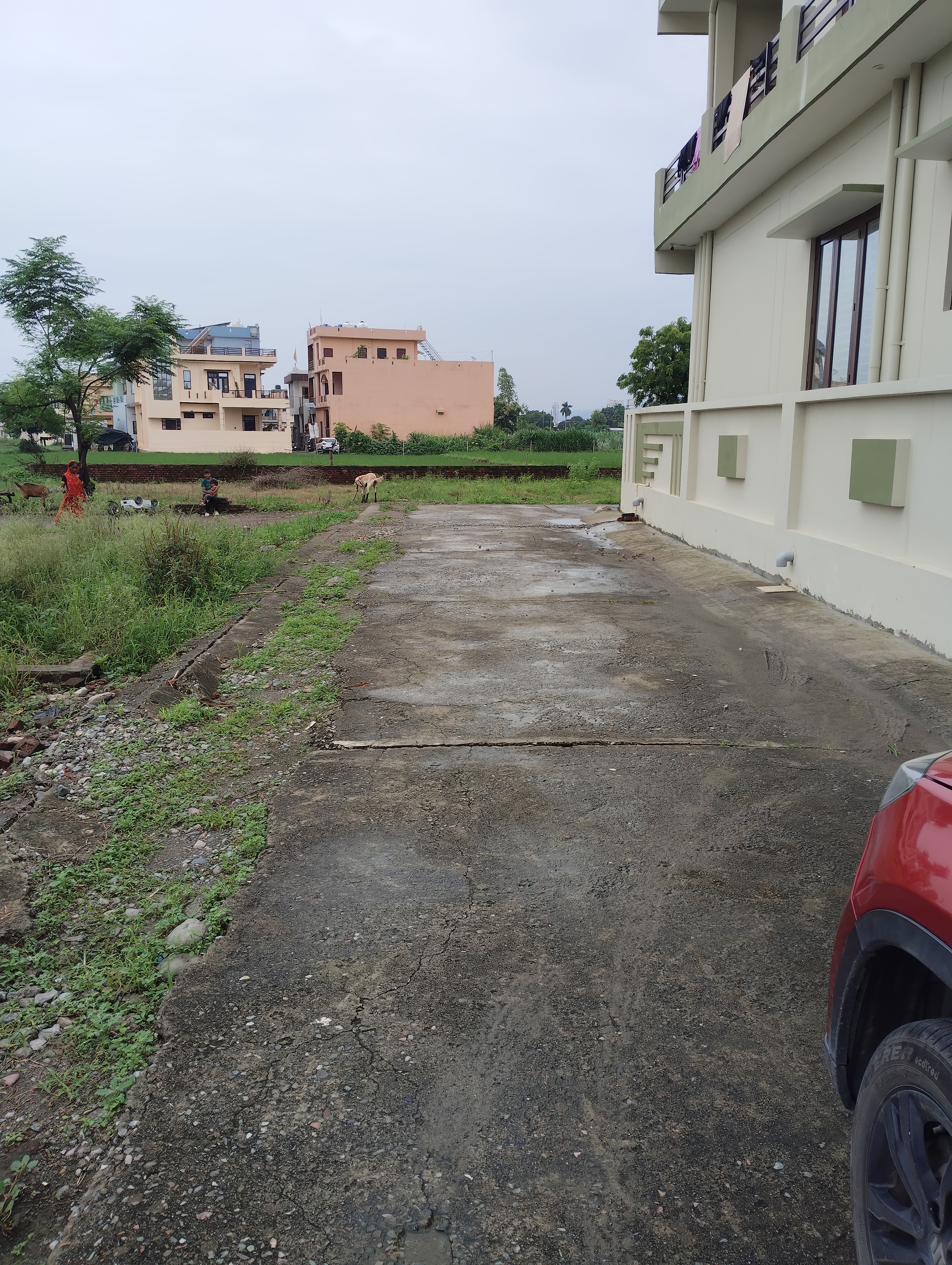 Resale 2200 Sq.Ft. Plot in Pilikothi Haldwani - 9117162
