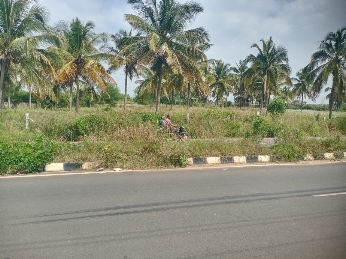 Resale 87120 Sq.Ft. Plot in Devanahalli Bangalore - 9125643