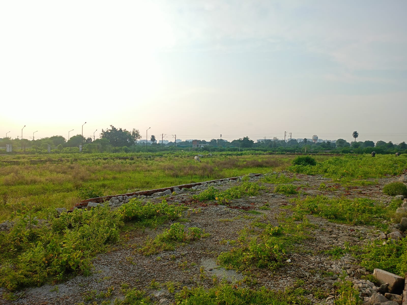 Resale 1200 Sq.Ft. Plot in Ansal Sushant Golf city, Sushant Golf City ...