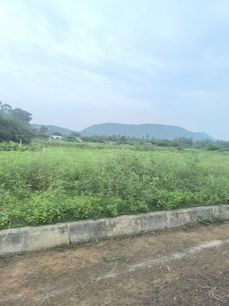 Resale 200 Sq.Ft. Plot in Chippada Vizag - 9126914