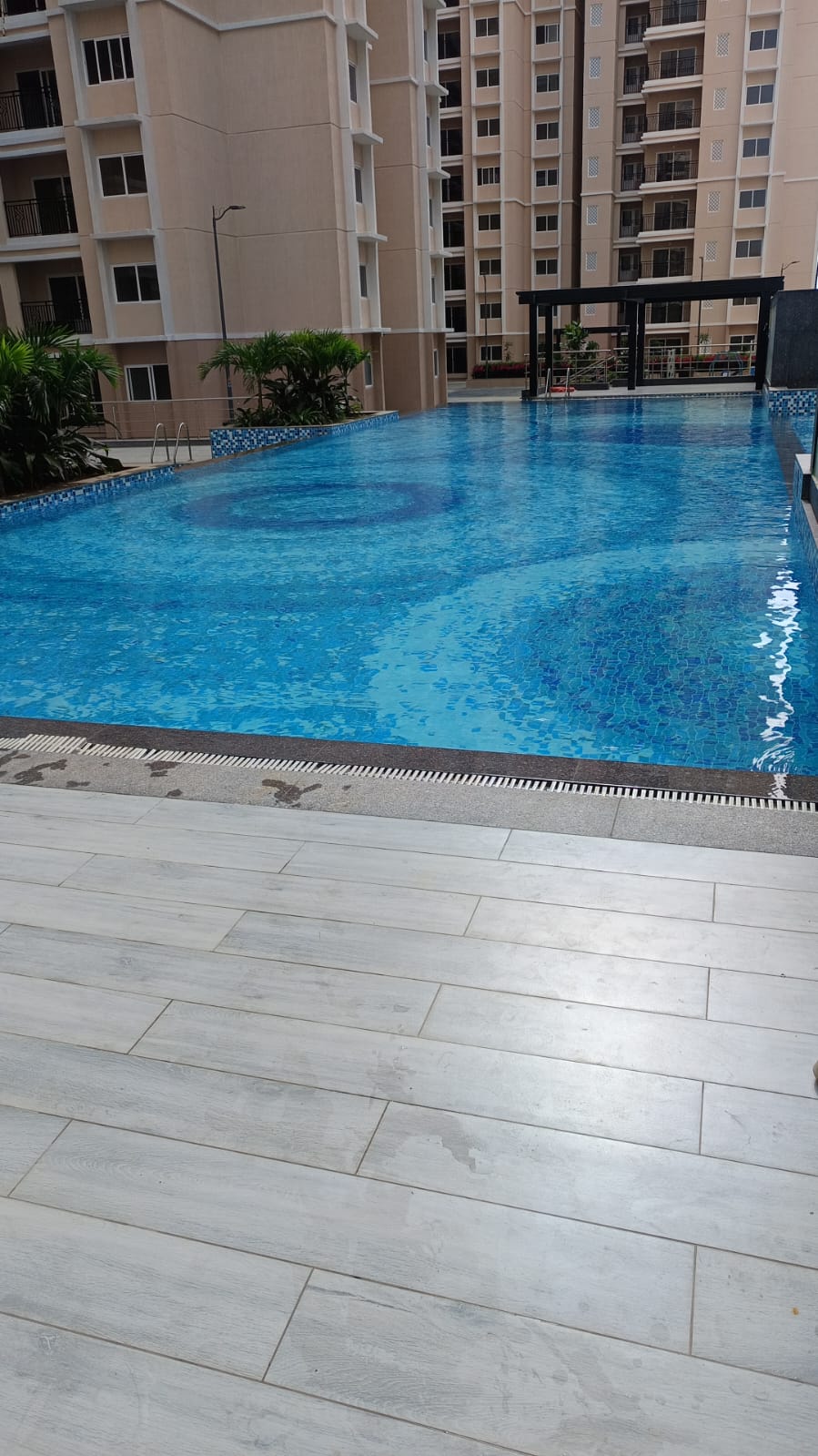Rental 2 Bedroom 988 Sq.Ft. Apartment in Prestige Primrose Hills ...