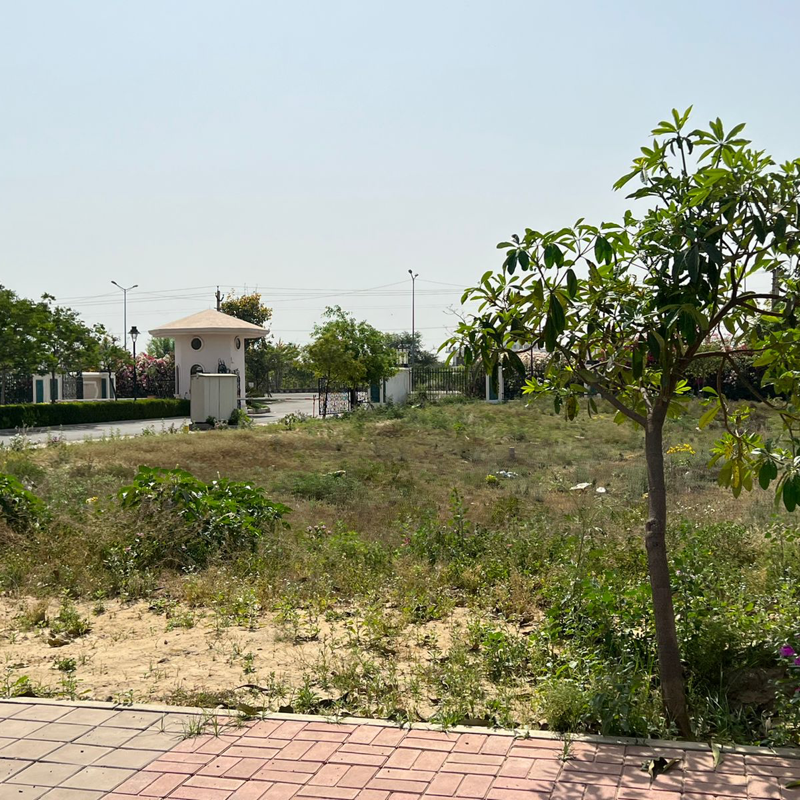 Resale 120 Sq.Yd. Plot in JMS The Nation, Sector 95 Gurgaon - 9240263