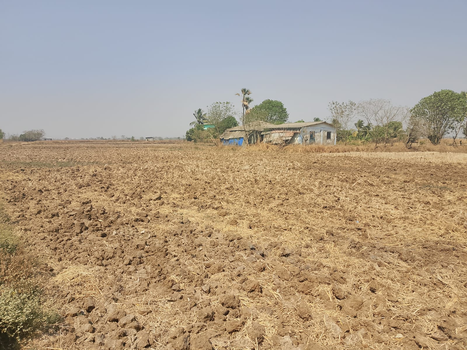 Resale 47926 Sq.Ft. Plot in Pen Navi Mumbai - 9251676