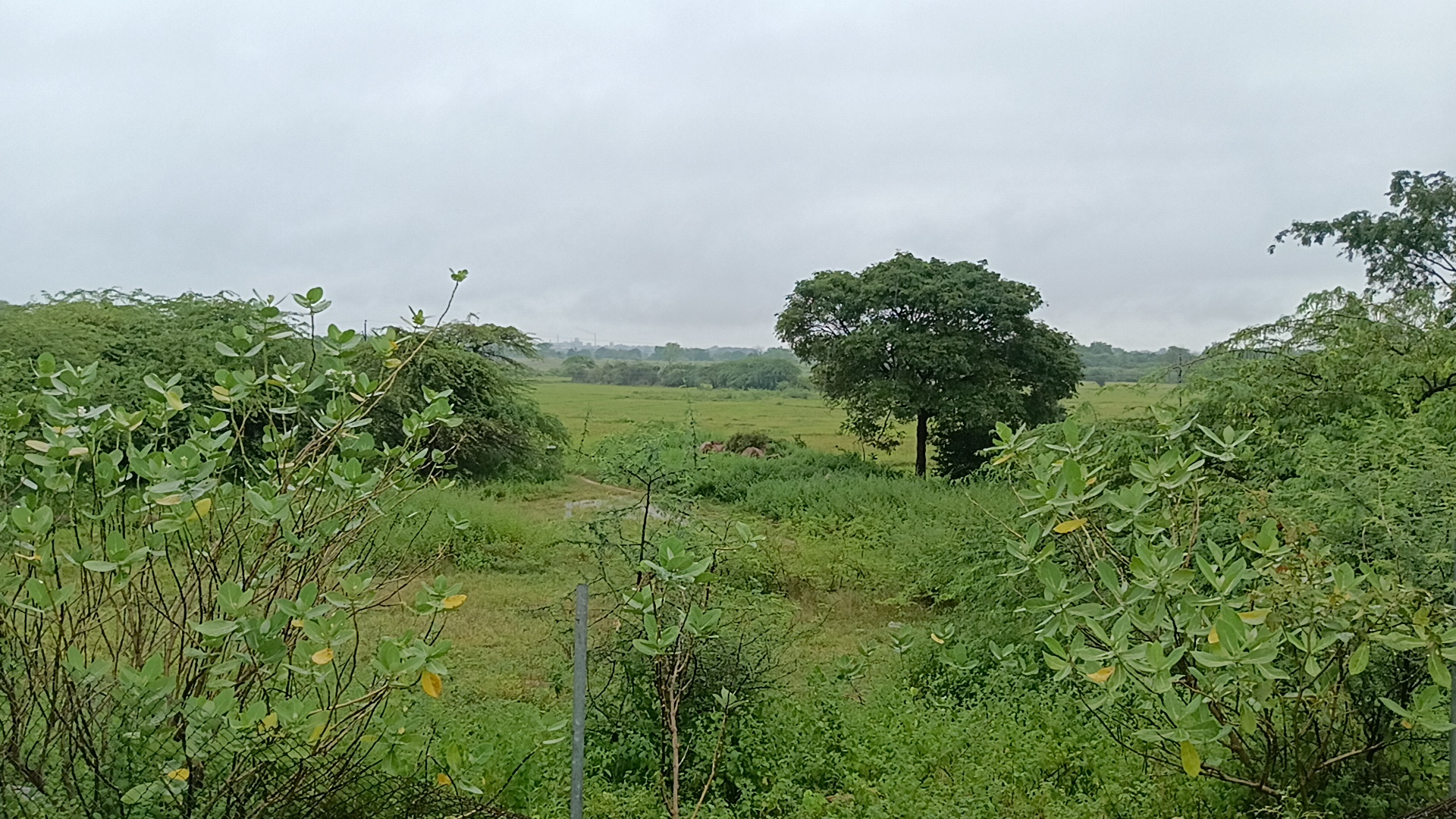 Resale Commercial Land 14 Acre in Medak Road Hyderabad - 9280140