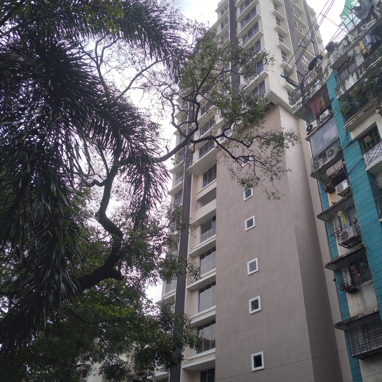 Rental 1 Bedroom 420 Sq.Ft. Apartment in Dadar West Mumbai - 9331015