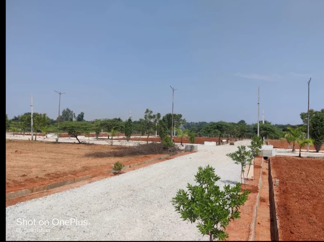 Resale 242 Sq.Yd. Plot in Shadnagar Hyderabad - 9345489