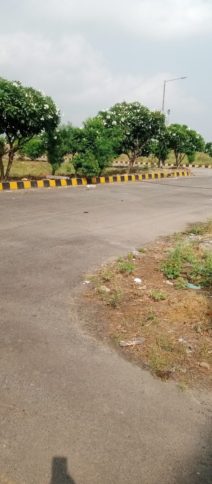 Resale 1107 Sq.Ft. Plot in Sector 26 Panchkula - 9439303