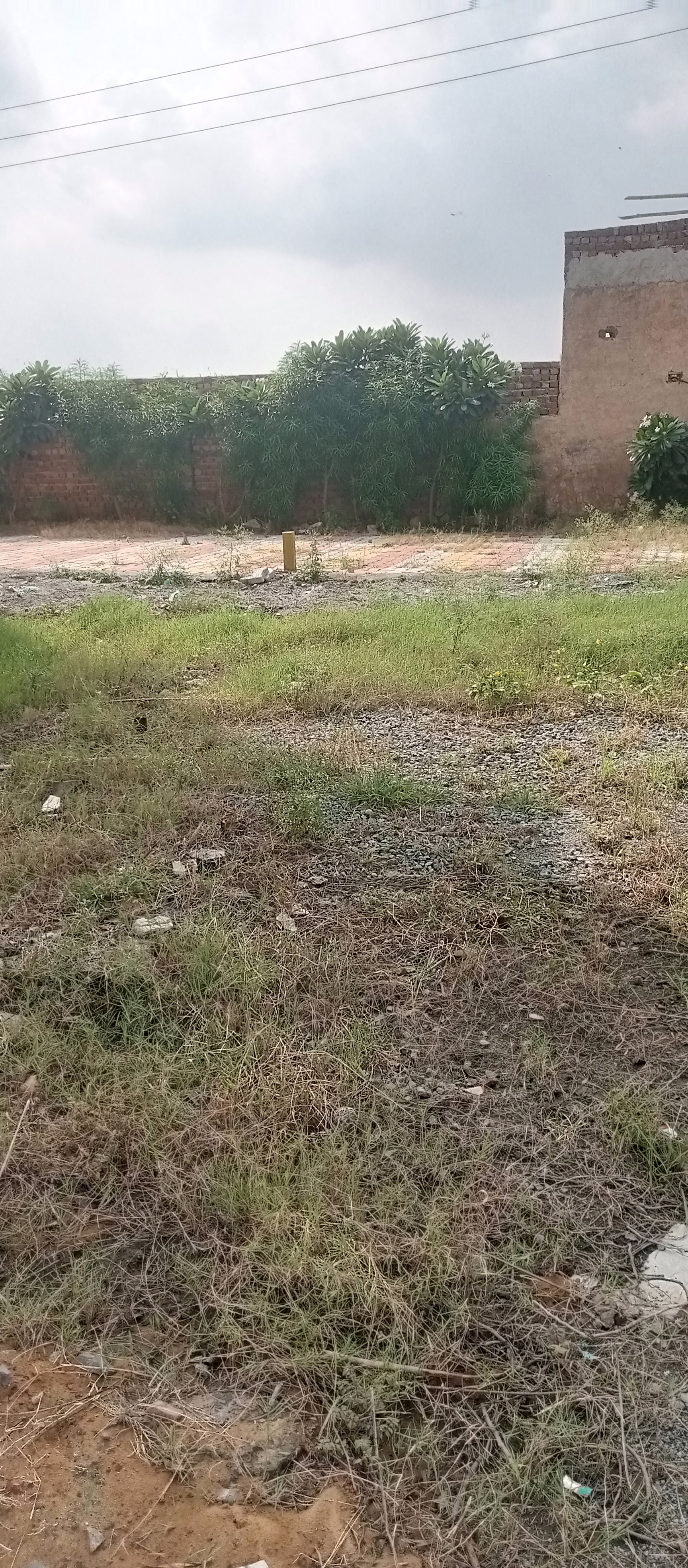Resale 1107 Sq.Ft. Plot in Sector 26 Panchkula - 9439303