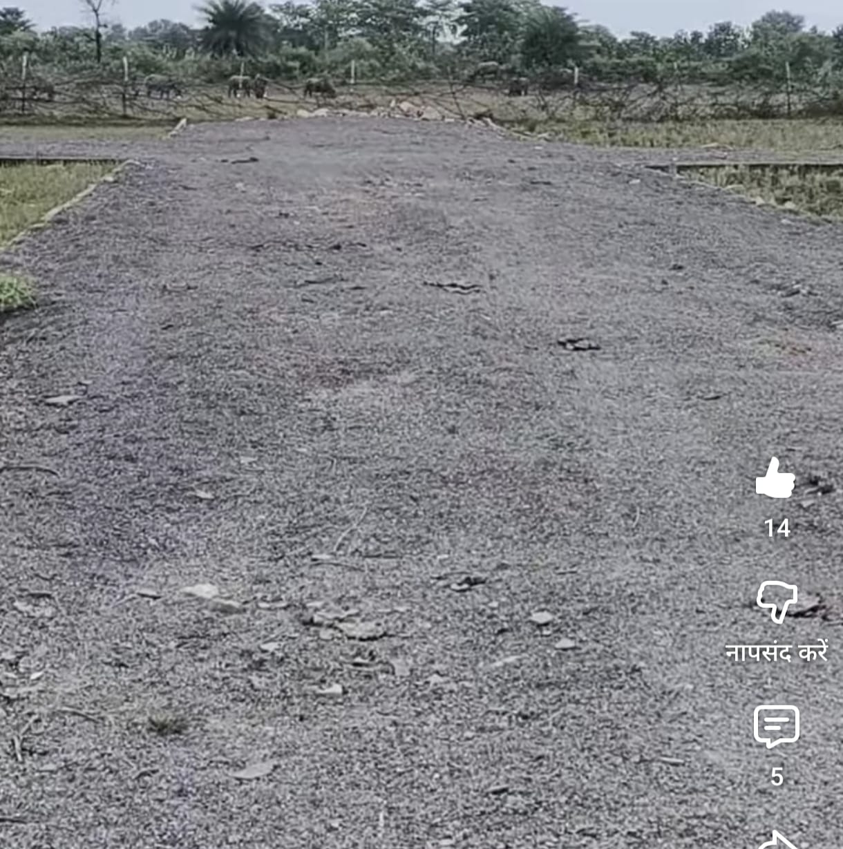 Resale 1839 Sq.Ft. Plot in Bagaha Satna - 9511467