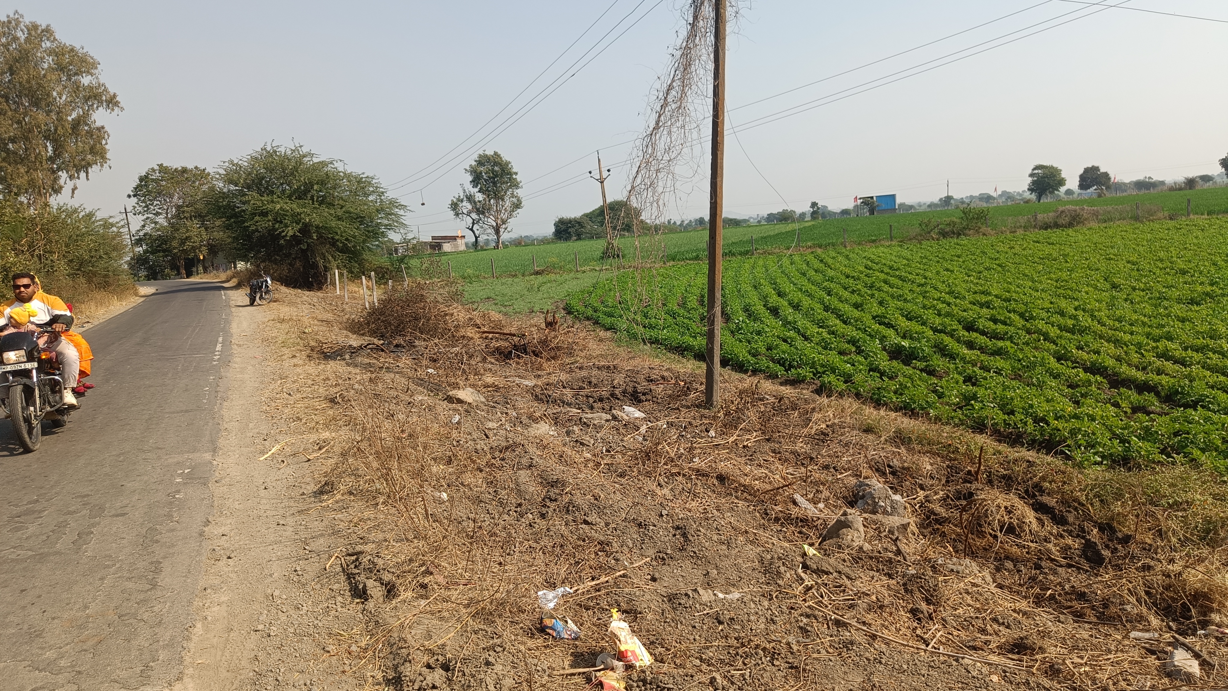 Resale Commercial Land 10000 Sq.Ft. in Paliya Haidar Indore - 9776619