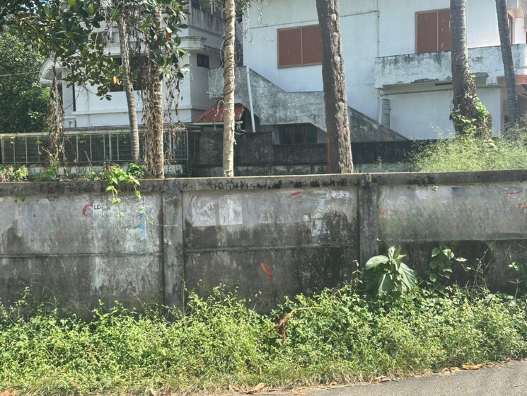 Resale 4358 Sq.Ft. Plot in Kalathode Thrissur - 9836502